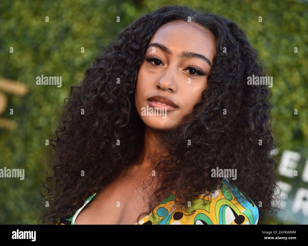 Lexi Hart's Instagram, Twitter & Facebook on IDCrawl