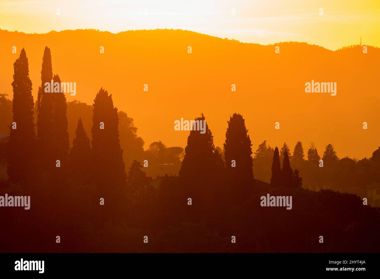 Misty golden backlight hi-res stock photography and images - Alamy