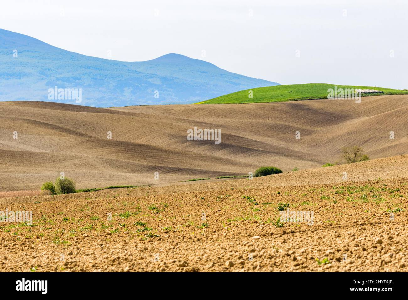 Newly sown rolling fields with shades of earth Stock Photo - Alamy