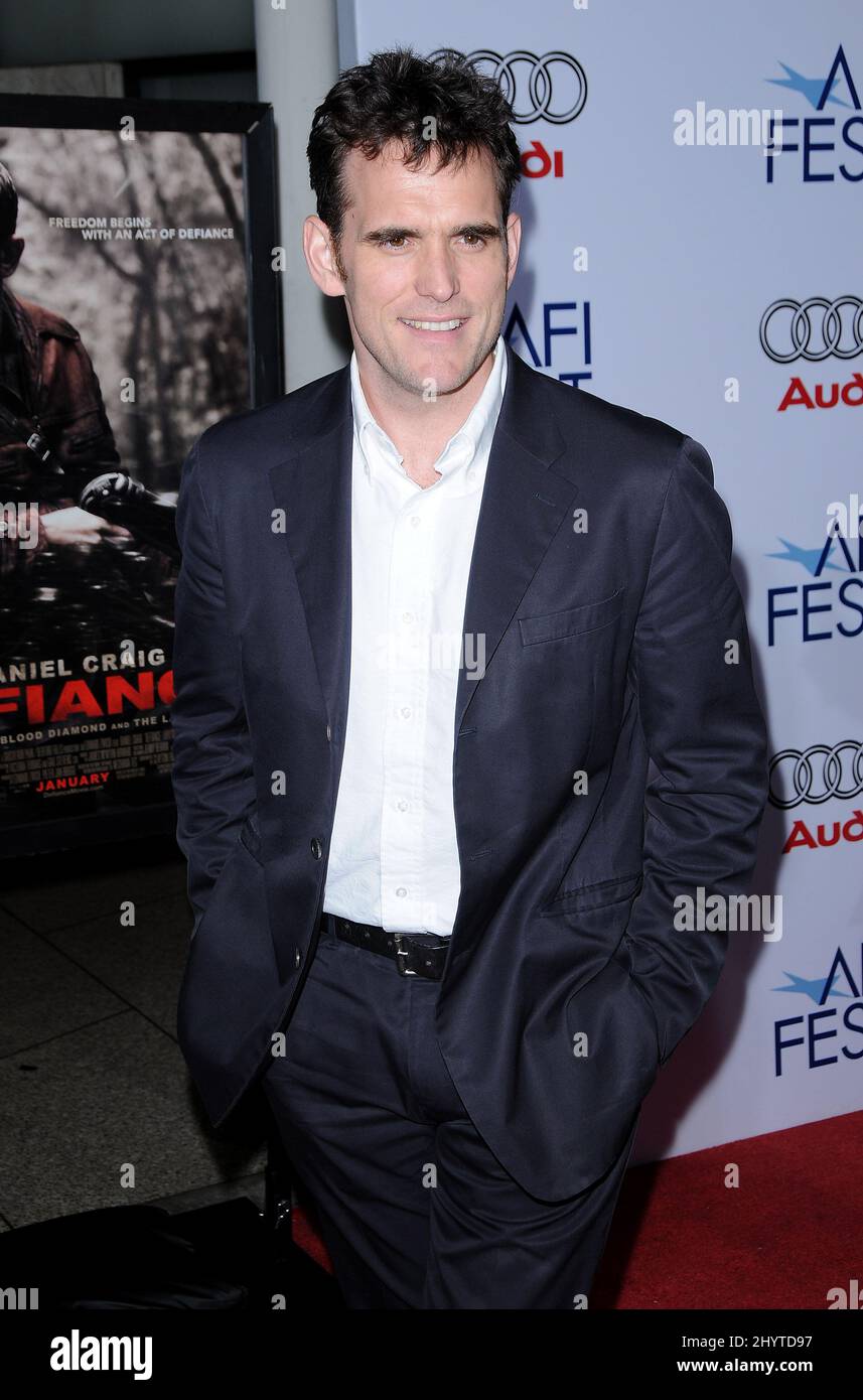 Matt Dillon attending the screening of "Defiance" at the 2008 AFI Fest ...