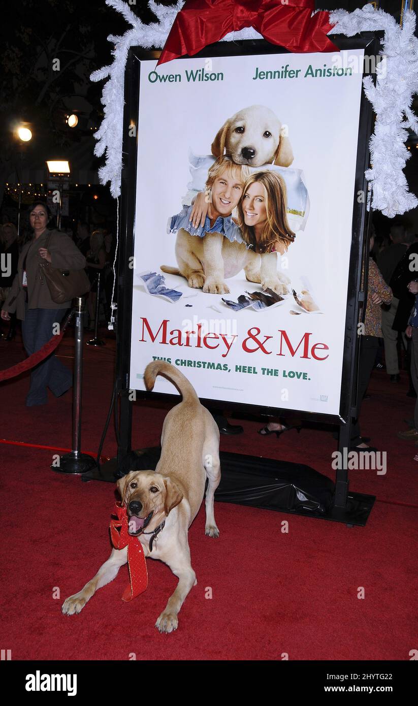 Clive aka marley hi-res stock photography and images - Alamy