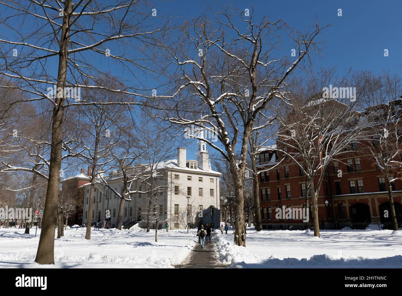Harvard University Campus Stock Photo - Alamy