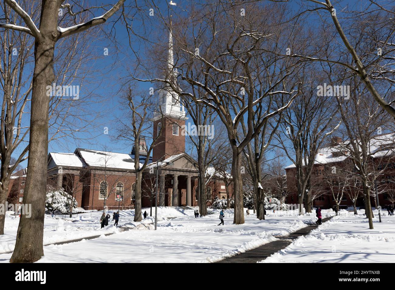 Memorial Church Harvard University Campus Stock Photo - Alamy