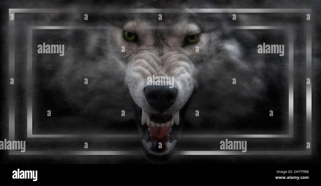 Animal frame hi-res stock photography and images - Alamy