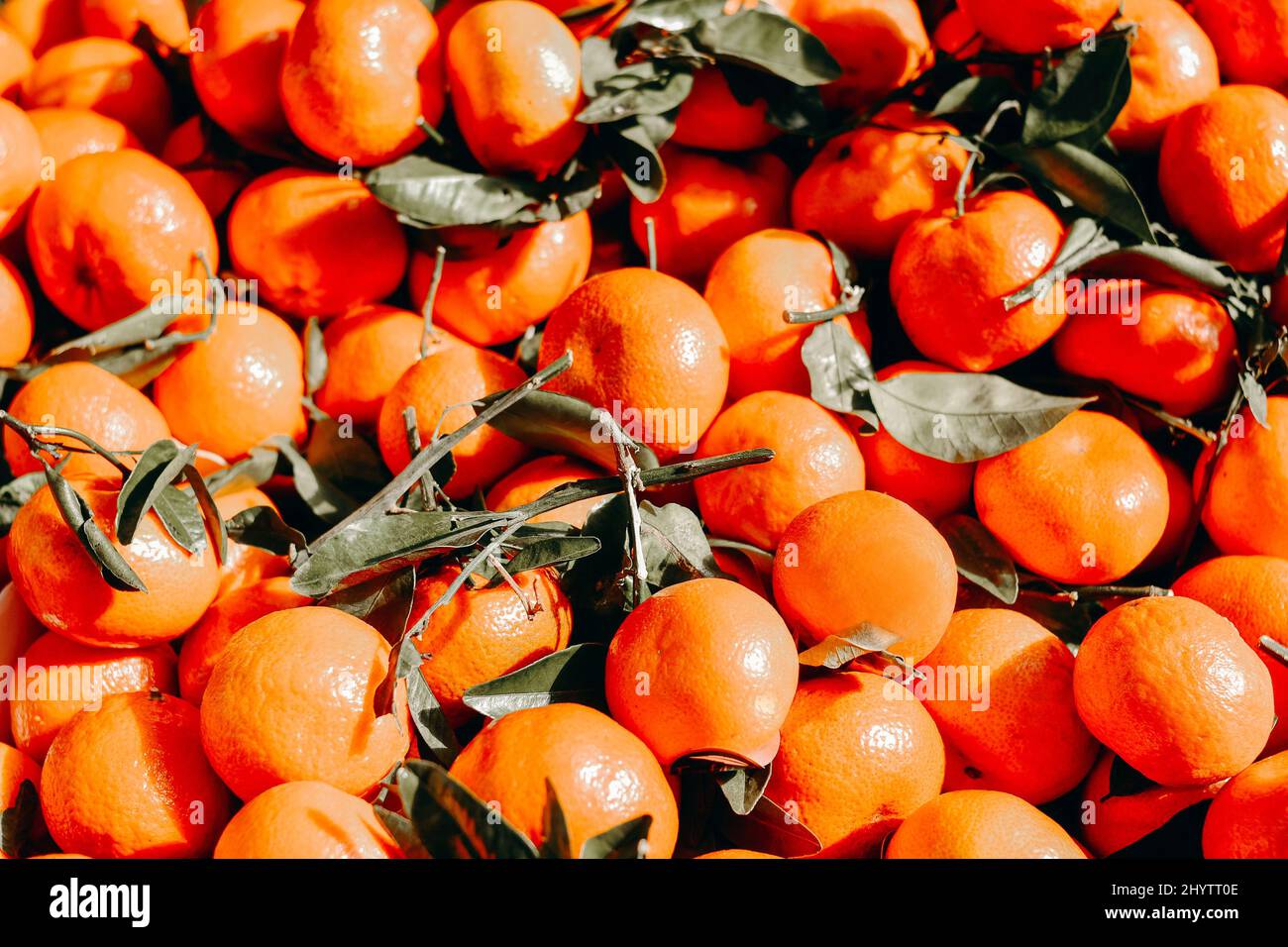 Very bright photo of ripe orange tangerines, fruits, background Stock ...