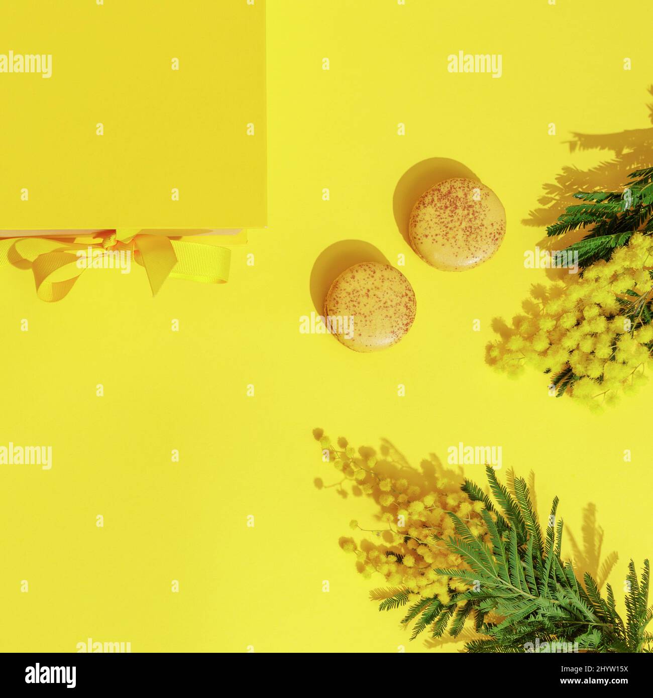 Branches of mimosa flowers, yellow macaroons and yellow gift box with ...