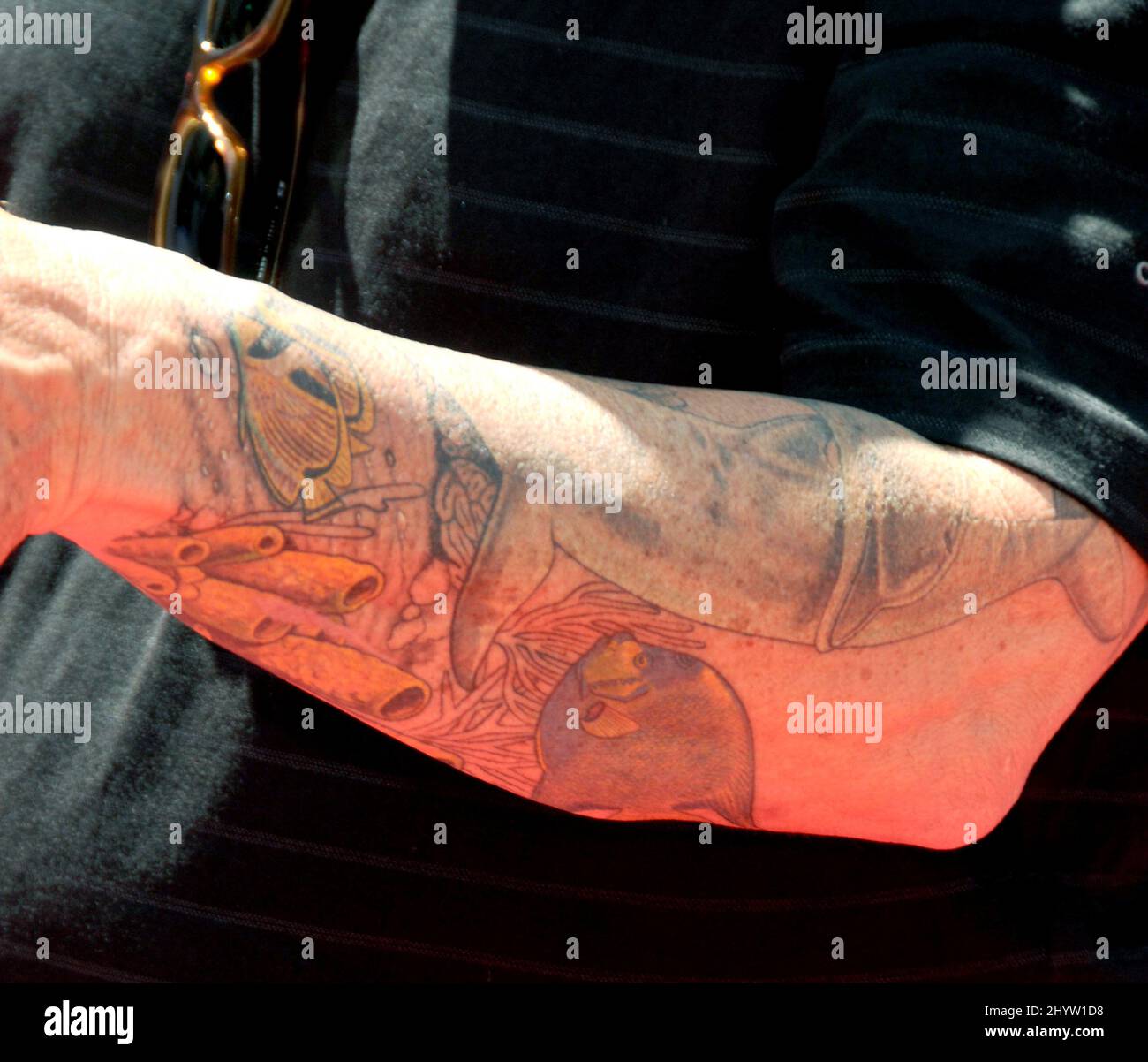 Hollywood Tattoo Ideas