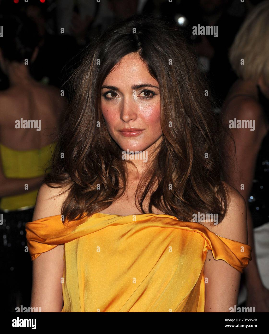 Rose Byrne at the Model as Muse, Embodying Fashion, Costume Institute ...