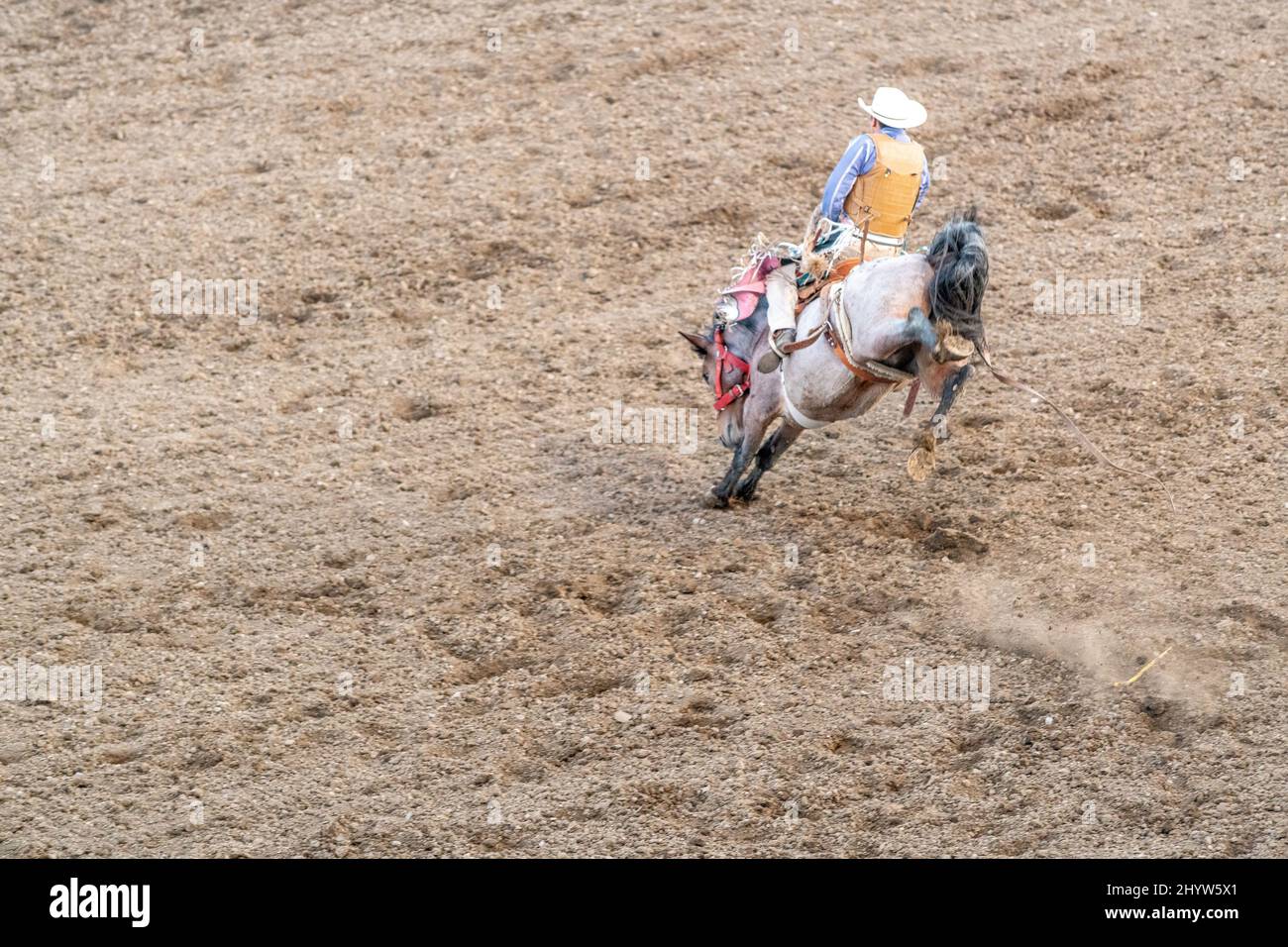 Cody Rodeo Rider in Wyoming. Scene with horse and man Stock Photo - Alamy
