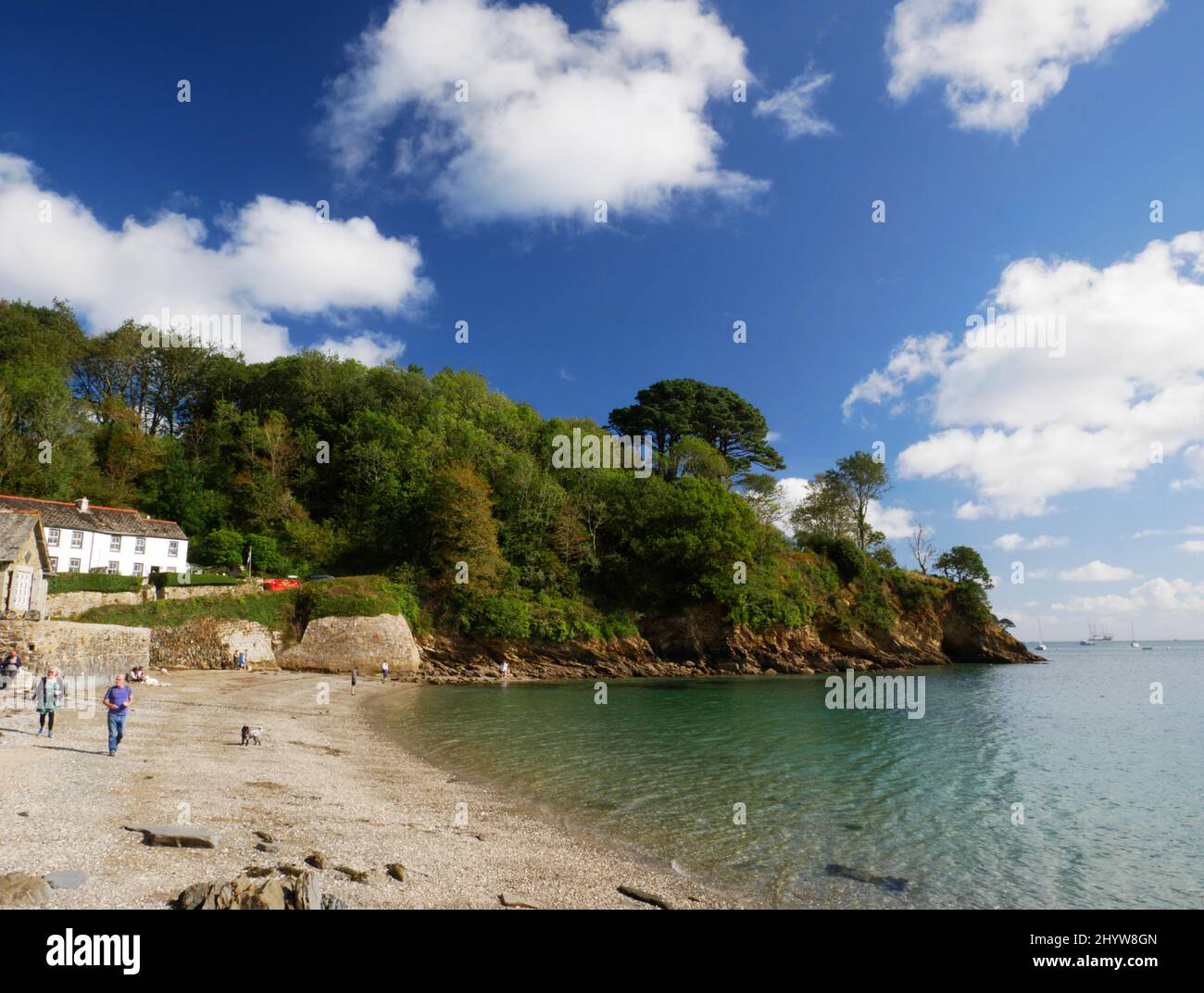 The beach at Durgan on the Helford River, Cornwall Stock Photo - Alamy
