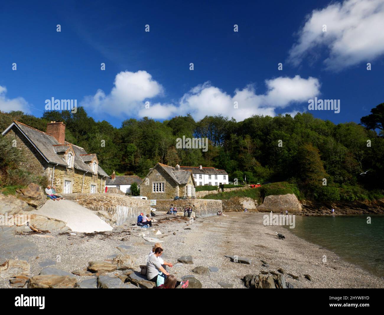 The beach at Durgan on the Helford River, Cornwall Stock Photo - Alamy
