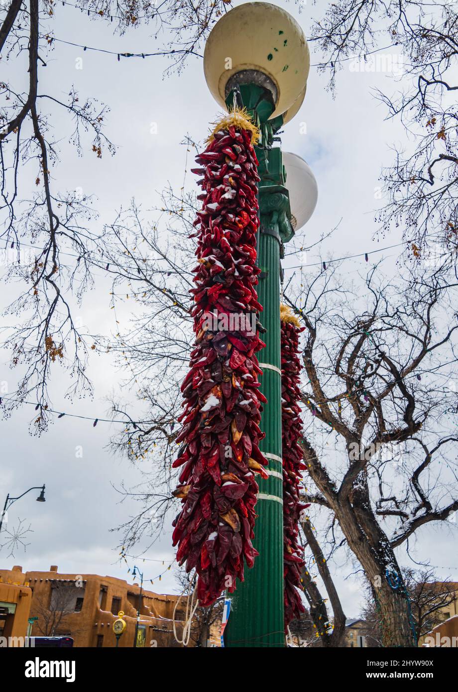 long red pepper ristras laced with snow on a winter morning at the ...