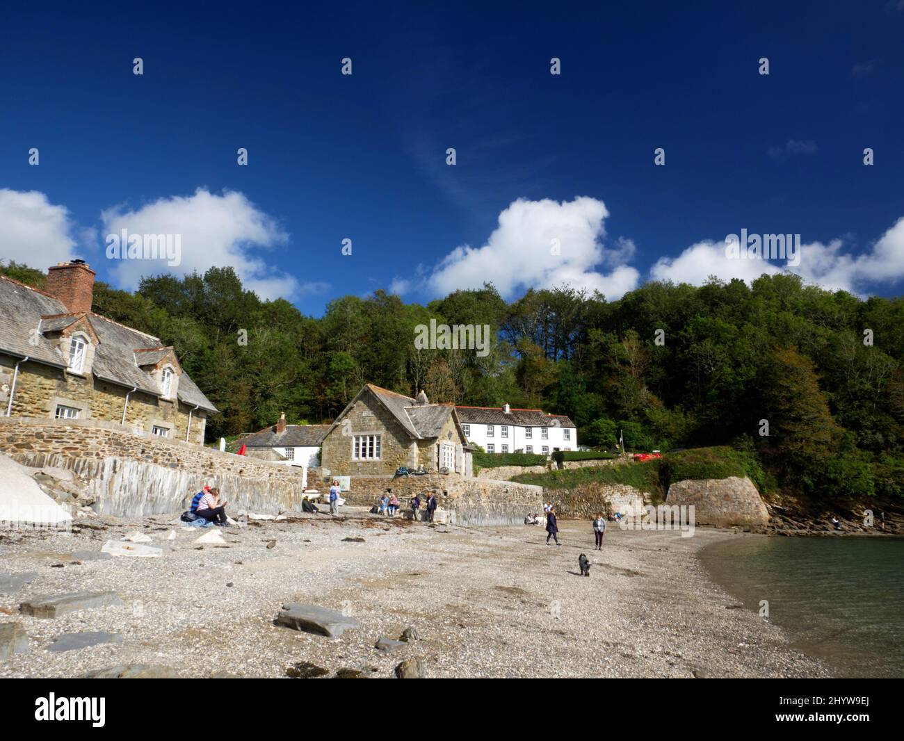 The beach at Durgan on the Helford River, Cornwall Stock Photo - Alamy