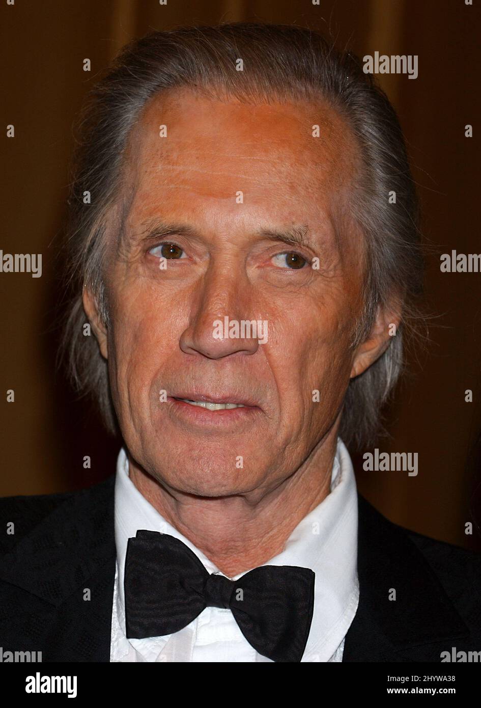 David Carradine at "The 57th Annual Directors Guild Of America Awards ...