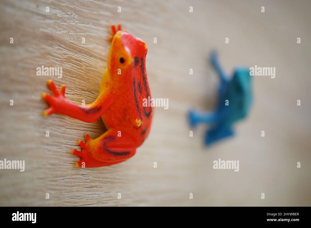 Plastic toy frog on a wooden table Stock Photo - Alamy