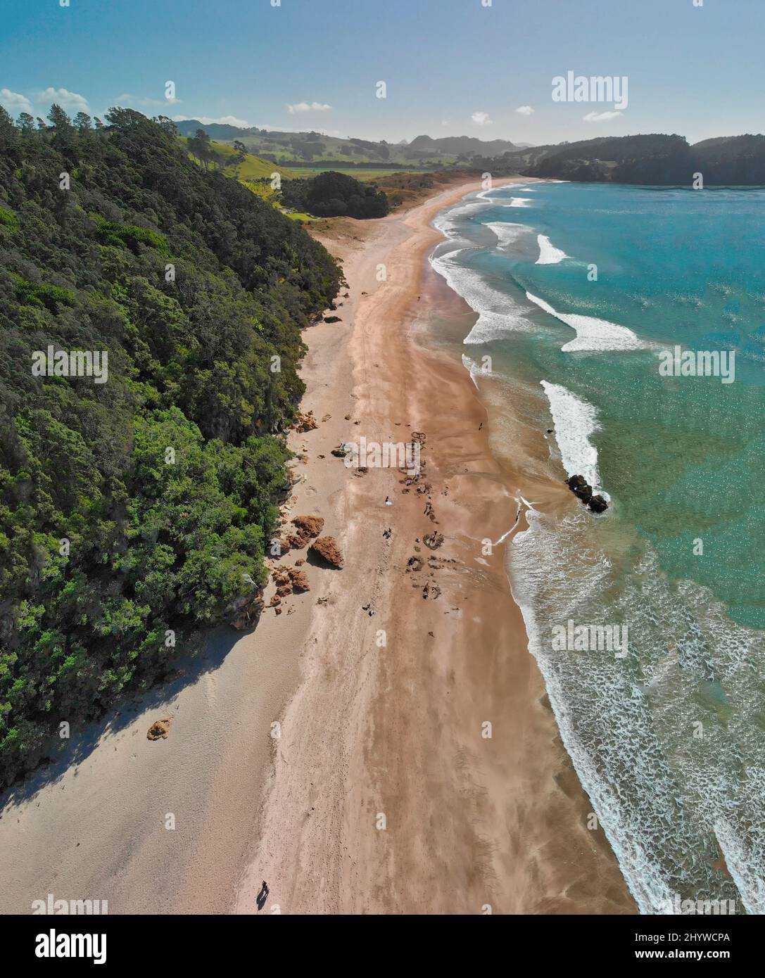 Hot water beach coromandel surf hi-res stock photography and images - Alamy