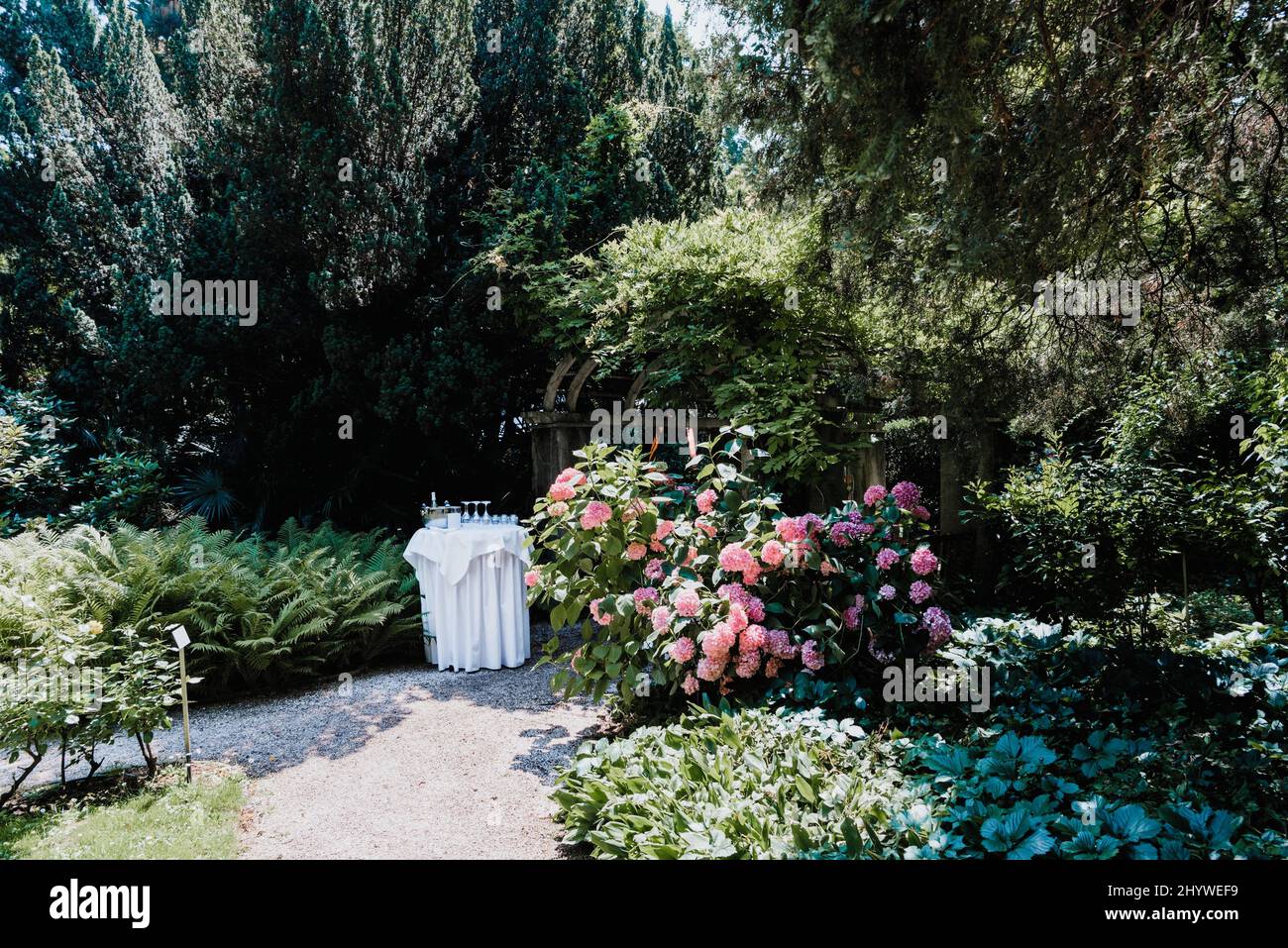 Outdoor wedding venue in a park Stock Photo - Alamy