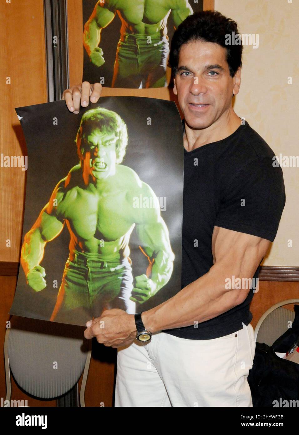 Lou Ferrigno Hulk 2003