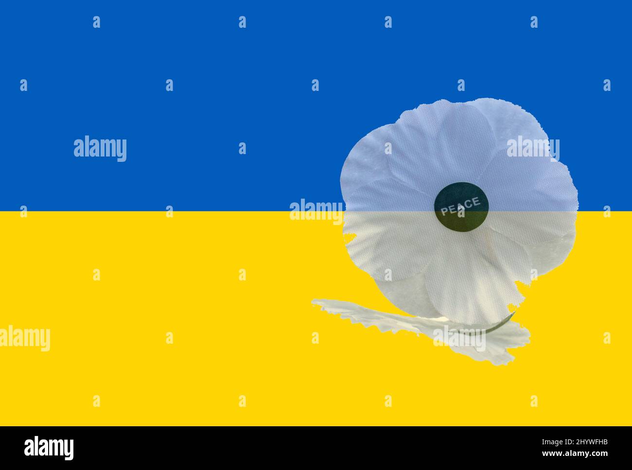 Ukraine flag with white poppy peace symbol Stock Photo - Alamy