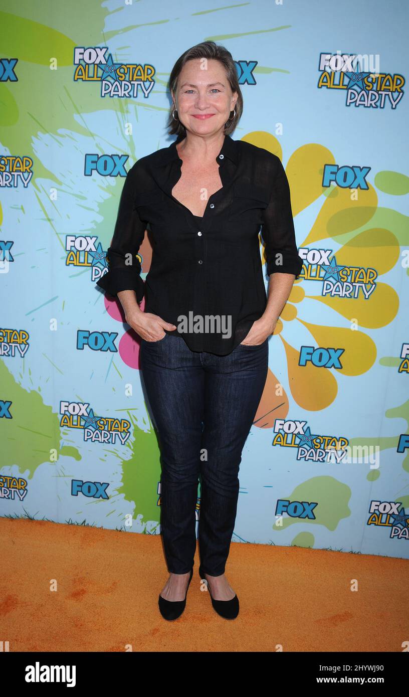 Cherry fox hi-res stock photography and images - Alamy