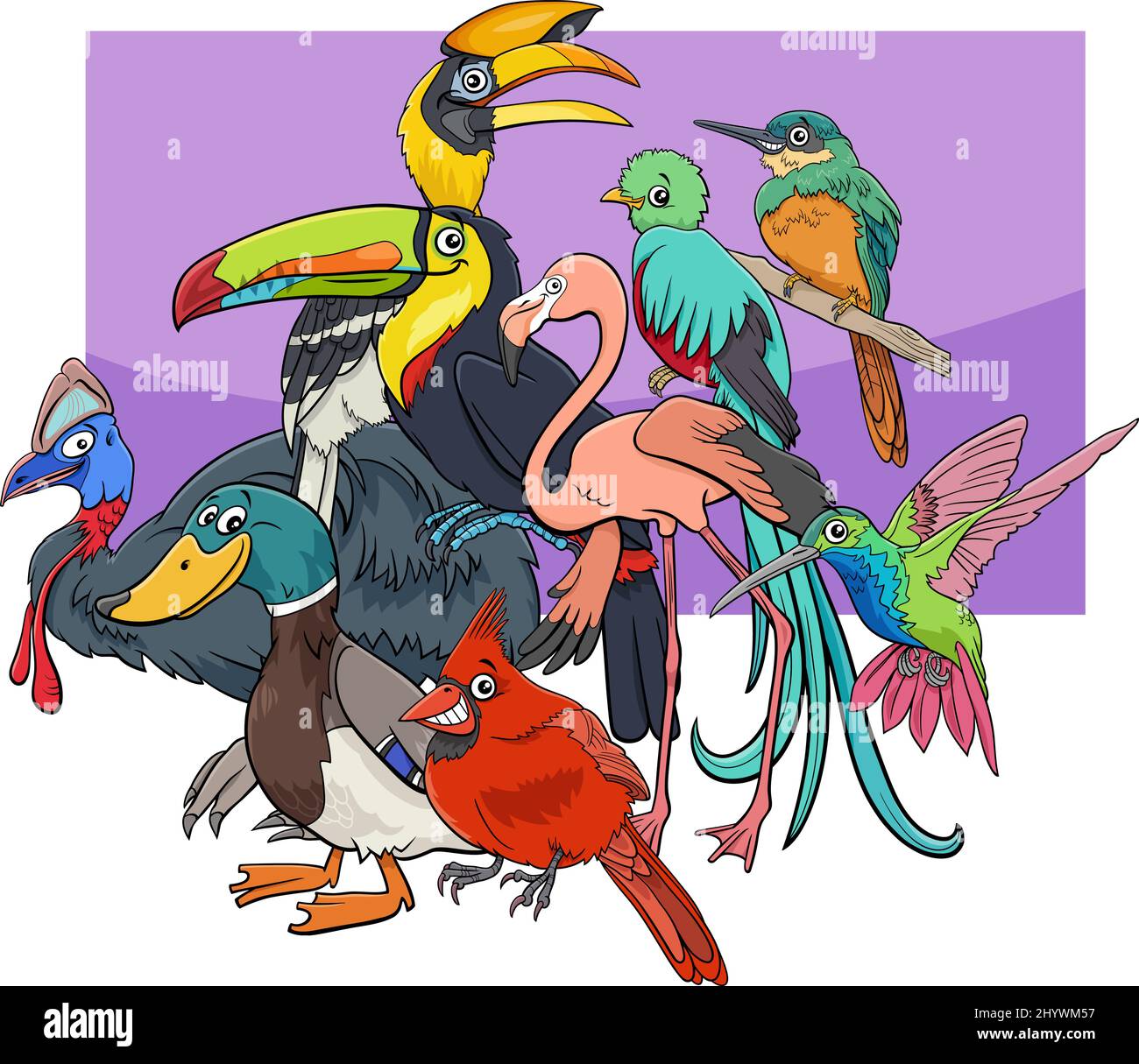 Cartoon illustration of funny birds comic animal characters group Stock ...