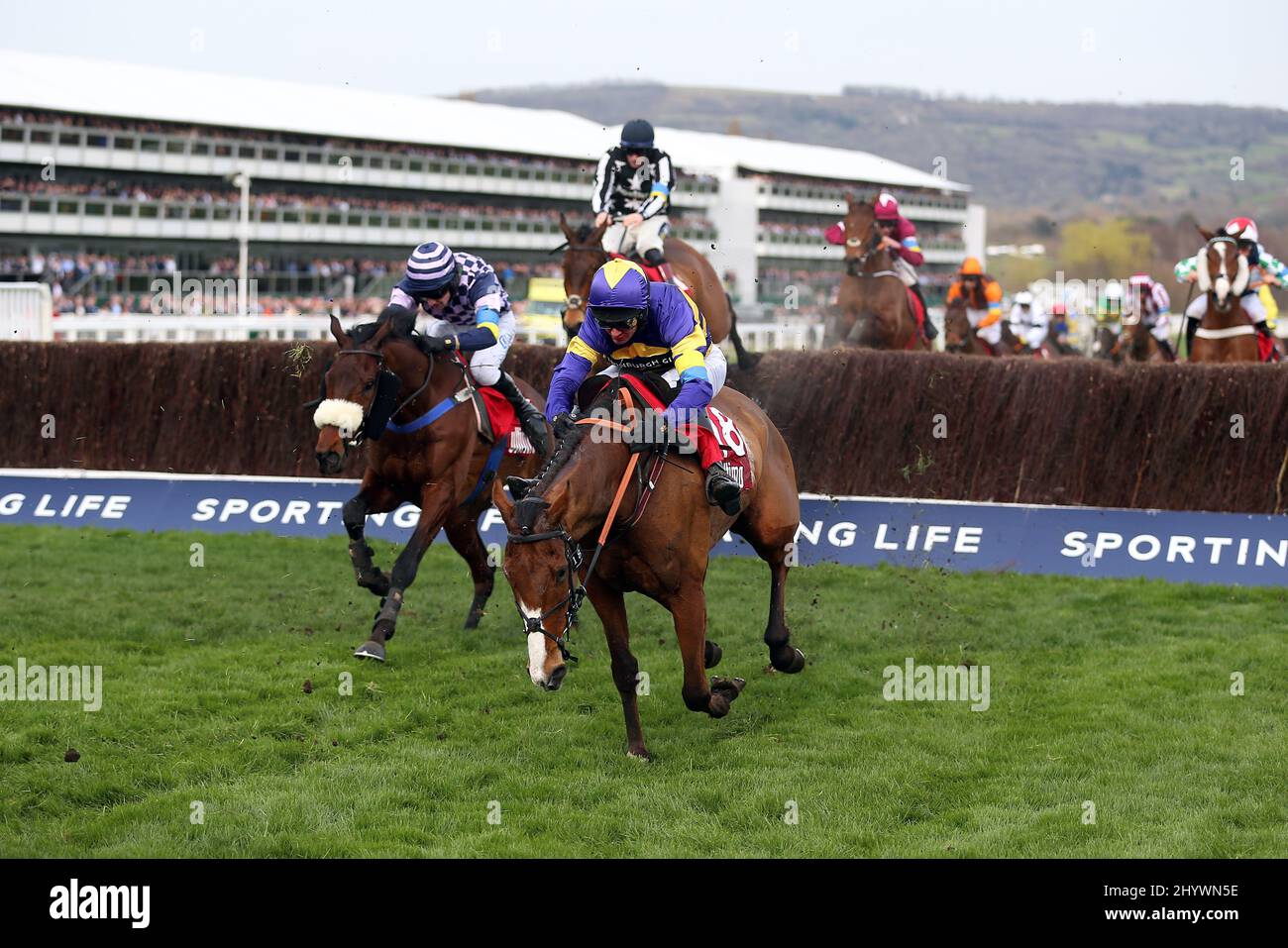 Corach rambler chase cheltenham hi-res stock photography and images - Alamy