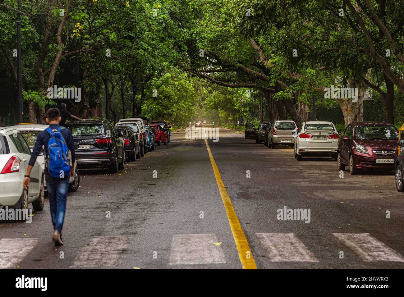 Street covered with trees and cars parked on both sides Stock Photo - Alamy