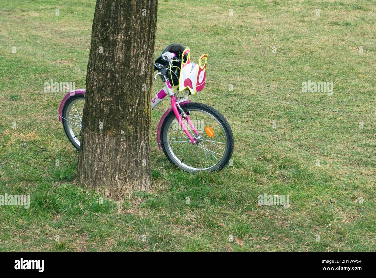 Tree and bicycle hi-res stock photography and images - Alamy