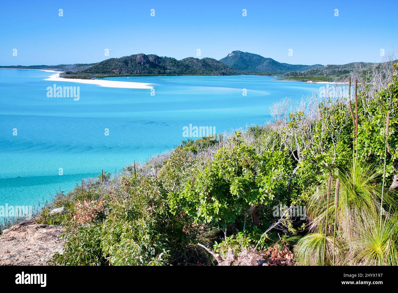 Whitsunday Island panorama from Hill Inlet Lookout, Australia Stock ...