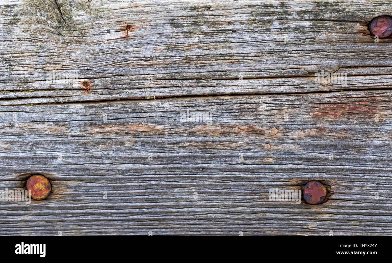 Old wood texture with rusty nails close-up high detailed background ...