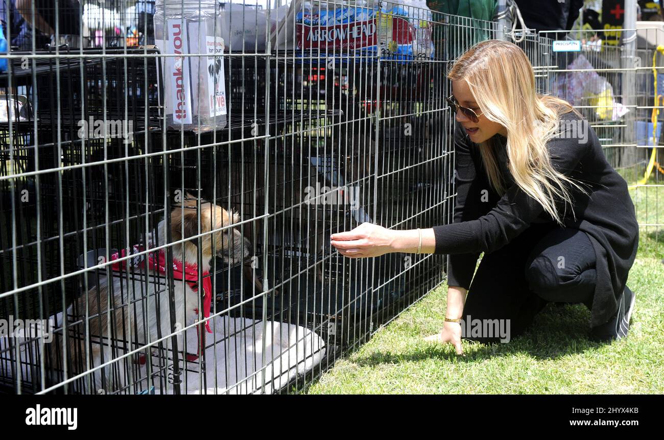 Amy Smart during the 'Best Friends' Spring Pet Adoption Festival held ...