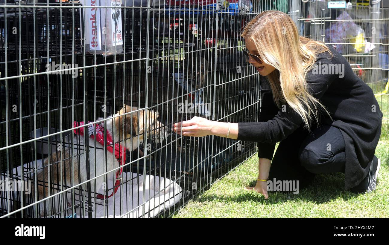 Amy Smart during the 'Best Friends' Spring Pet Adoption Festival held ...