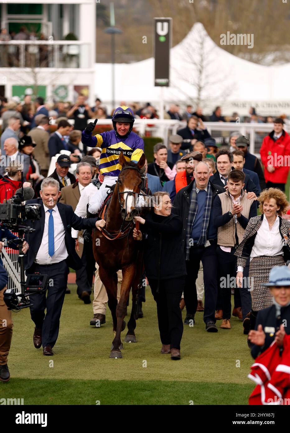 Corach rambler cheltenham hi-res stock photography and images - Alamy