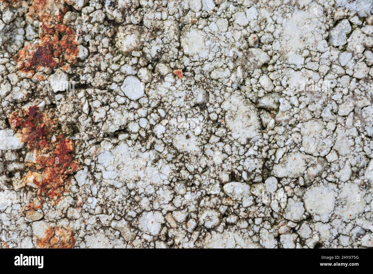 Grey porosity stone, texture high detailed background photo Stock Photo ...