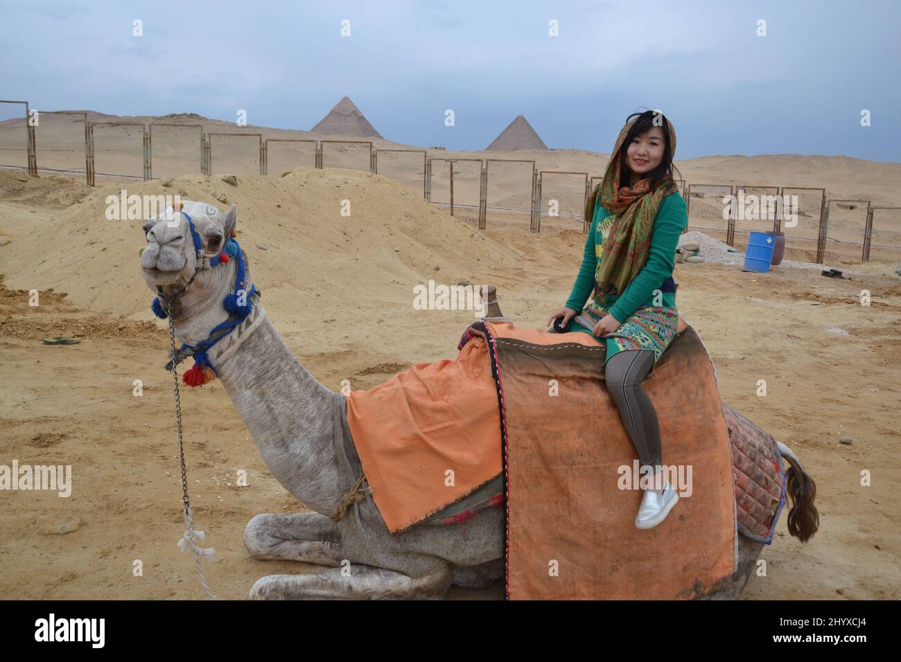 Chinese female riding a white camel on the foreground of the pyramids ...