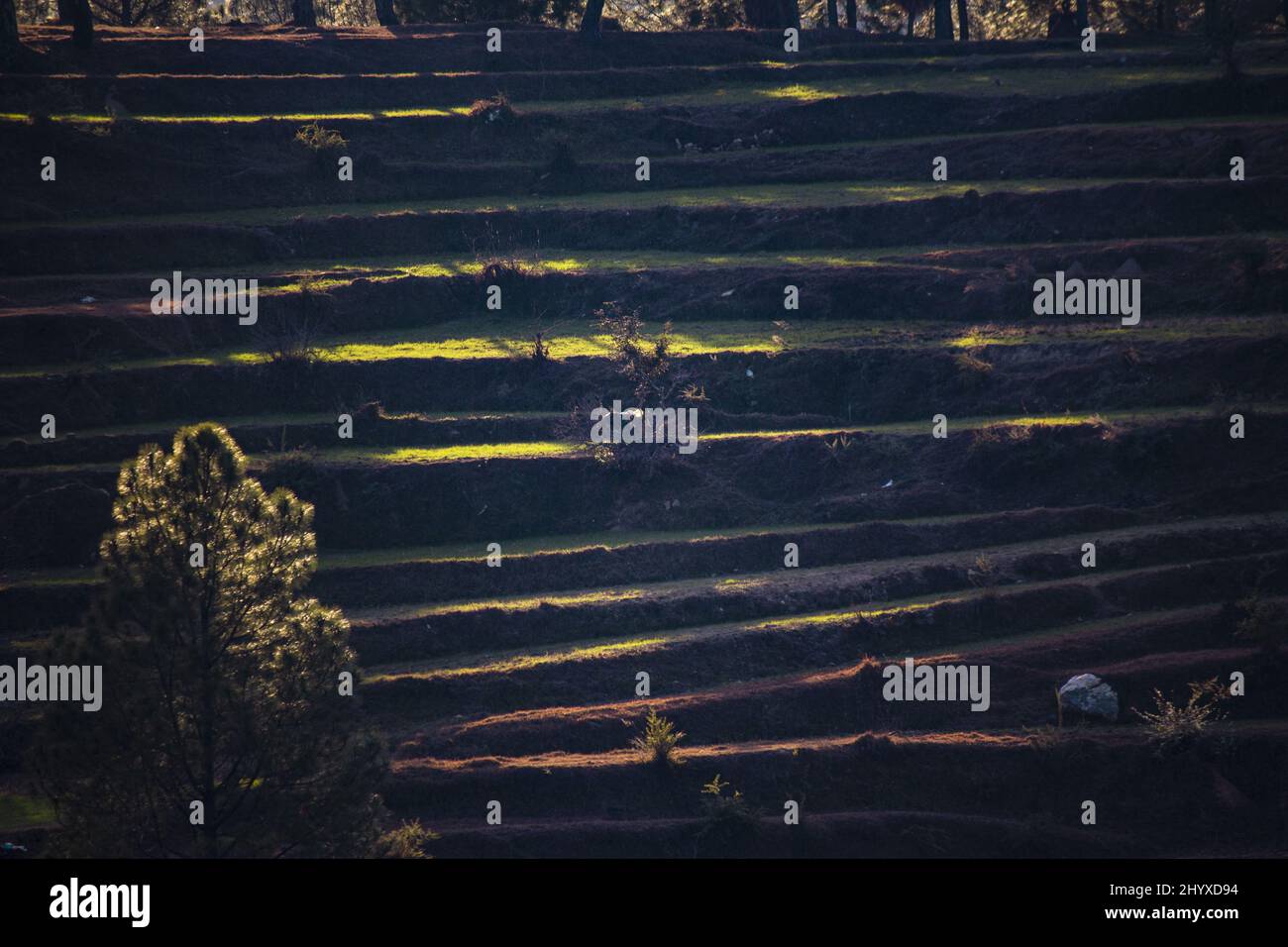 View of rice field terraces. Banaue, Philippines Stock Photo - Alamy
