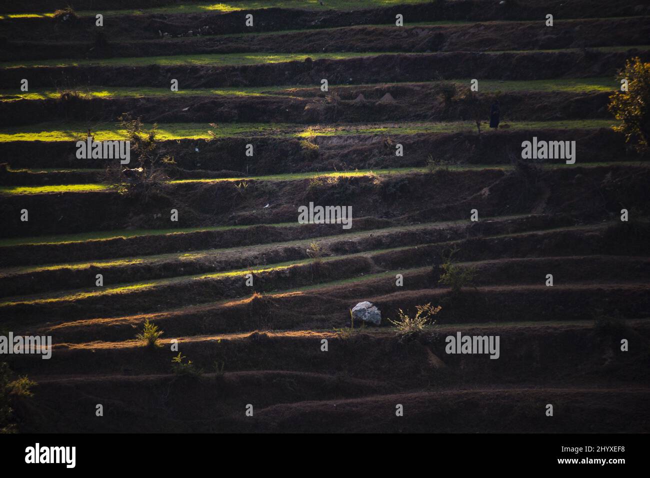 View of rice field terraces. Banaue, Philippines Stock Photo - Alamy
