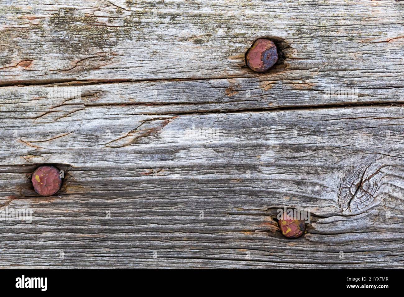 Old wood texture with rusty nails close-up high detailed background ...