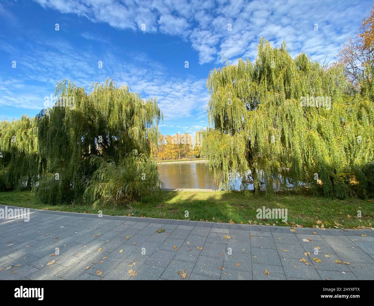 park in autumn at dry sunny fall day Stock Photo - Alamy