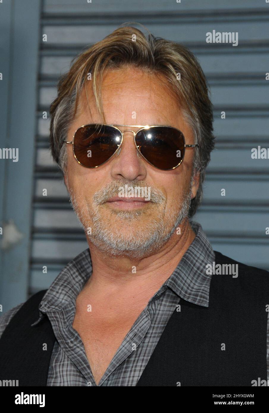 Don Johnson during the "Machete" Los Angeles screening held at the Orpheum Theatre, California ...
