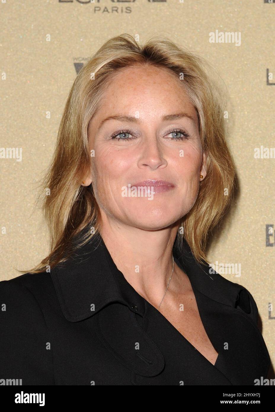 Sharon Stone at the 2010 Entertainment Weekly and Women In Film Pre ...