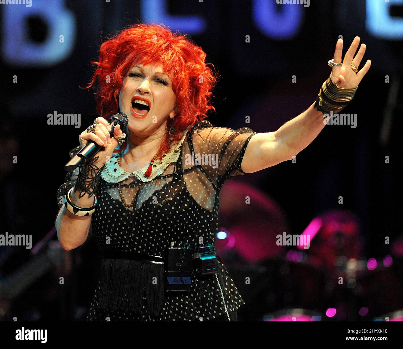 Cyndi Lauper in concert during the 'Memphis Blues' Tour held at the ...