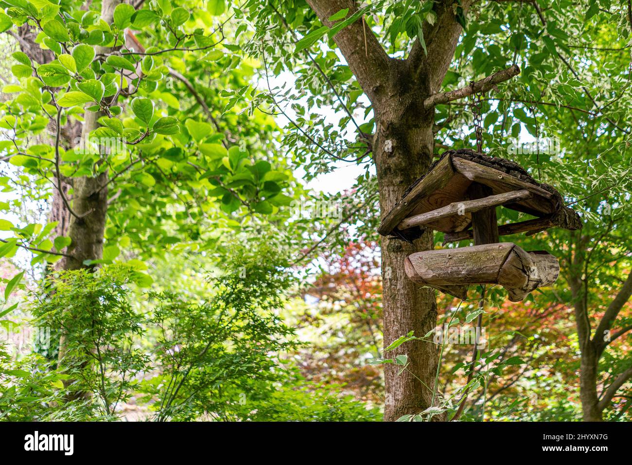 Beautiful backyard landscape design hi-res stock photography and images ...