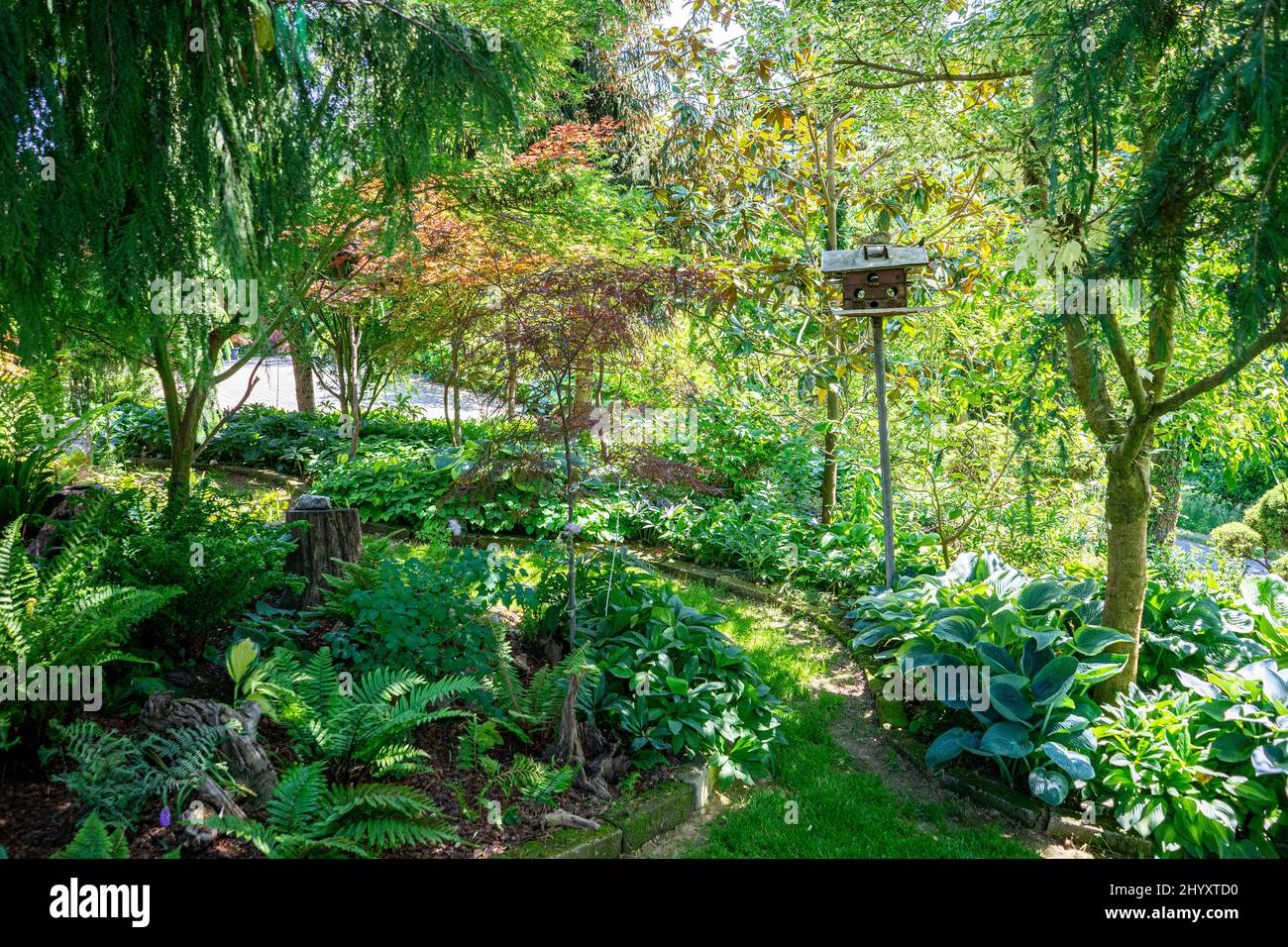 bird house in a beautiful green garden Stock Photo - Alamy