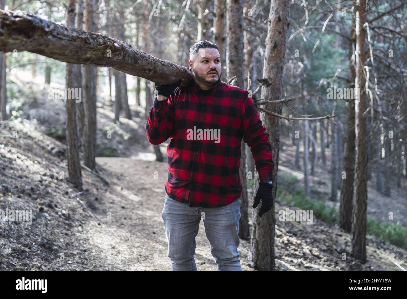Young strong male with a log on his shoulder in a forest Stock Photo ...