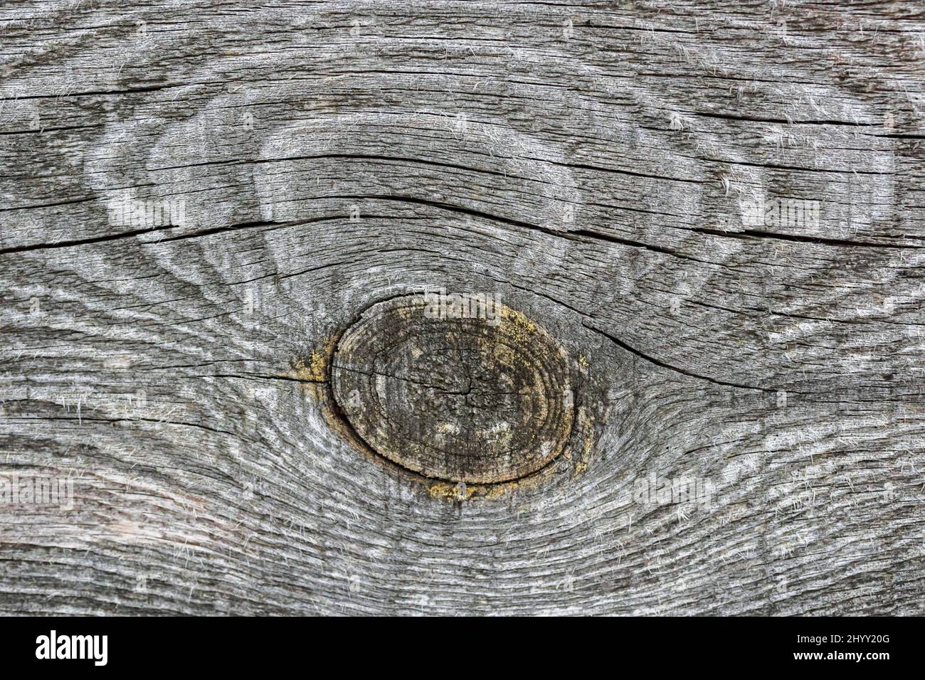 Wood plank texture background close-up and high detailed Stock Photo ...
