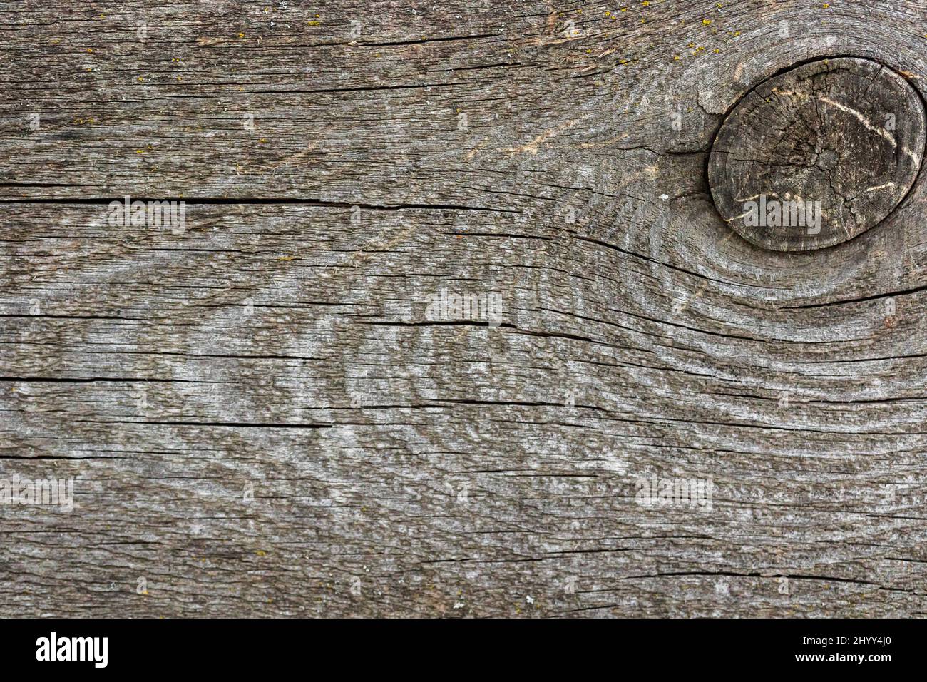 Wood plank texture background close-up and high detailed Stock Photo ...