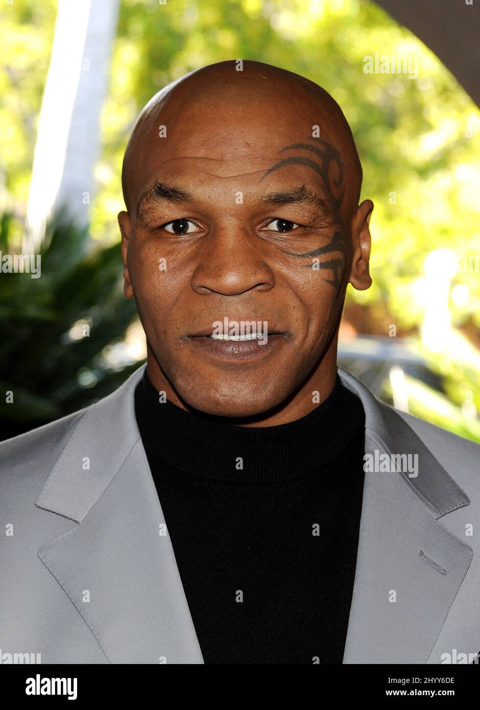 Mike Tyson during the 2011 TCA Winter Press Tour, day 2 held at The ...