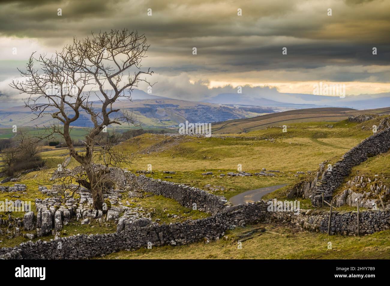 The Winskill Stones is a 74-acre nature reserve near Stainforth in the ...