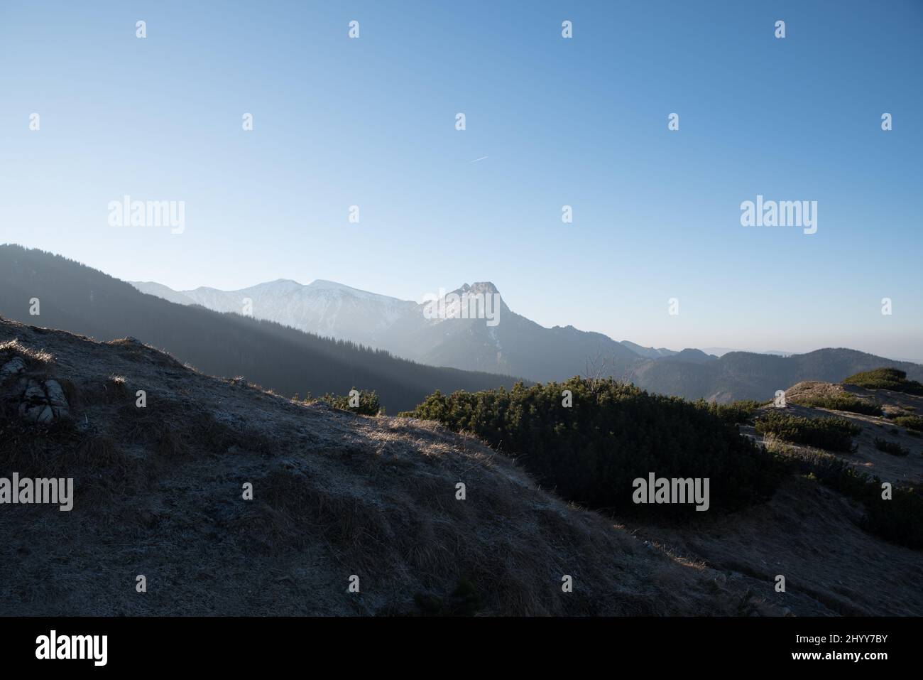 Aerial shot hill forest hi-res stock photography and images - Alamy